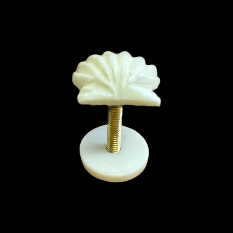 Elegant Nantucket Bone Scallop Shells for Baskets