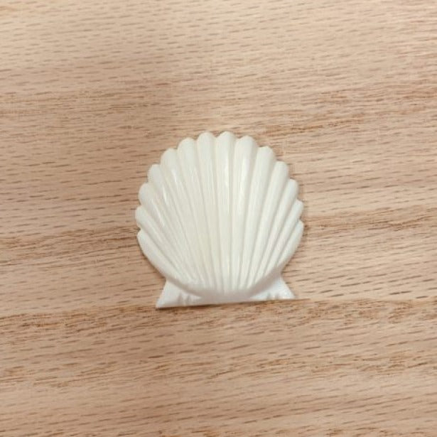 Elegant Nantucket Bone Scallop Shells for Baskets